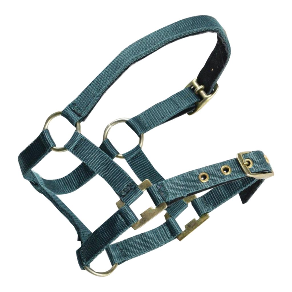 Eureka - Nylon Headstall - Miniature - Equest Pro