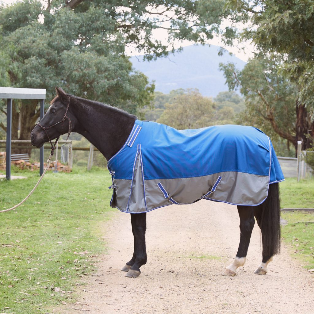 Winter Synthetic Rugs - Equest Pro