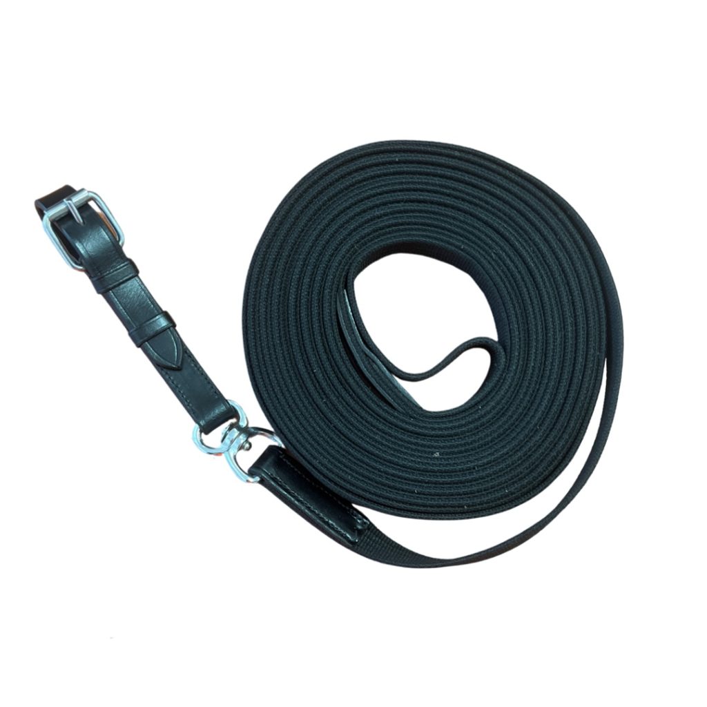 Eureka - Webb Lunge Lead 30ft - Equest Pro