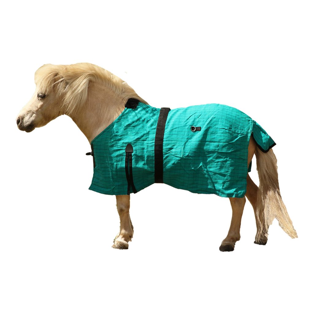 Eureka - Miniature Canvas Winter Rug - Equest Pro