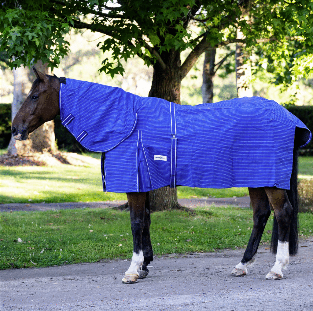 Eureka - Unlined Blue Canvas Combo - Equest Pro