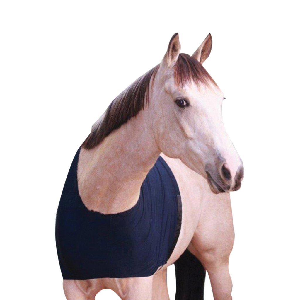 Eureka - Chest And Wither Protector Bib - Equest Pro