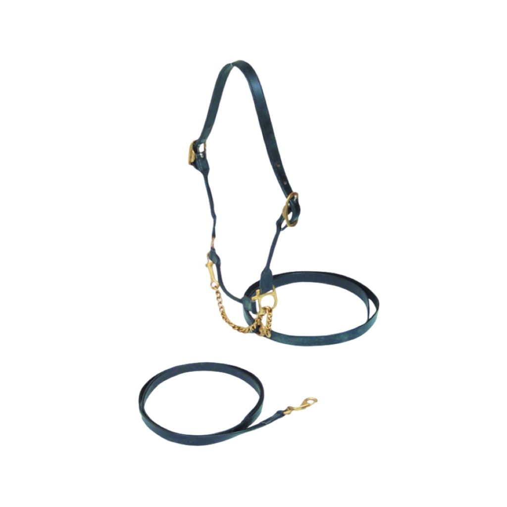 Showcraft - Cattle Halters - Equest Pro